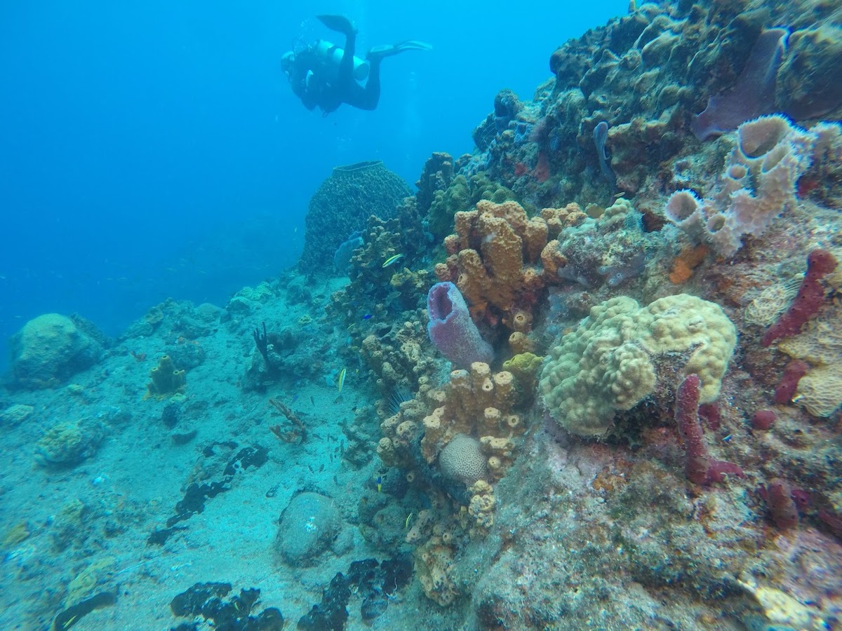 Dominica’s Favourite Anchorage Unveils Spa - The Howorths | The Howorths